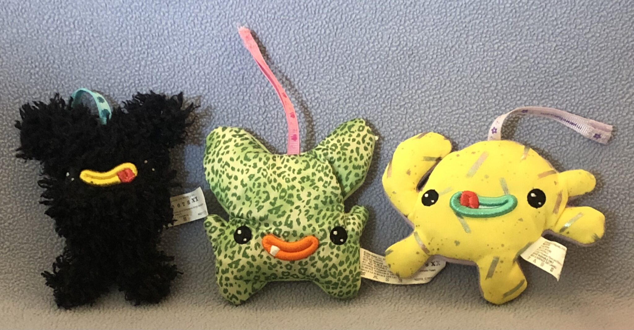 The Conclusion of the Animal Arc – Author Bailey Day